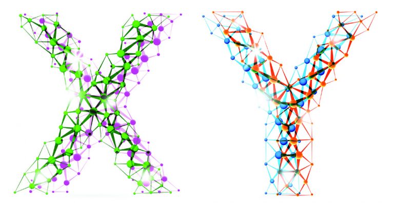Chicken DNA, Part 2: Genetics, Genomes, Genomics & More - Backyard Poultry